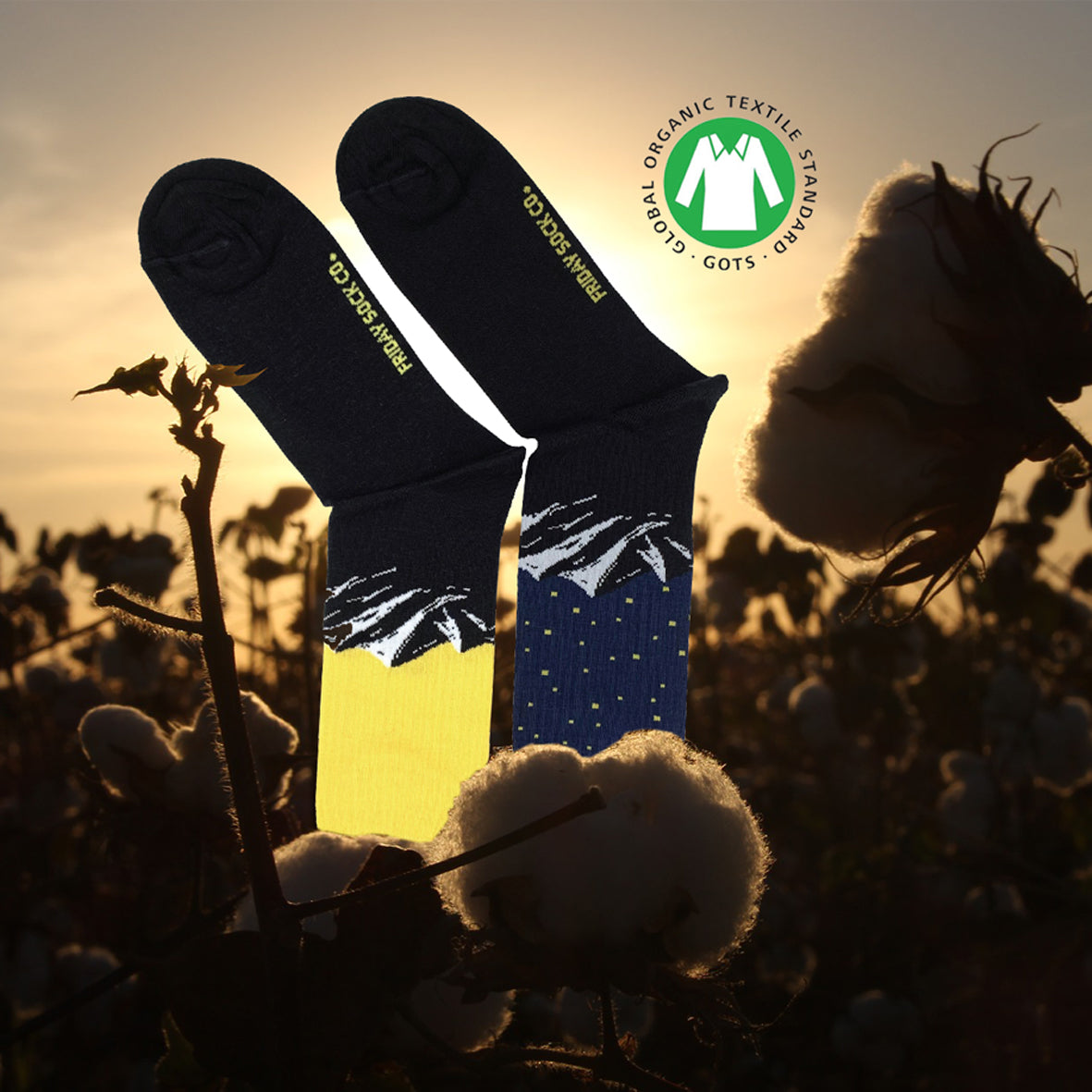 We just released a new GOTS Organic Collection in adult sizes! – Friday ...