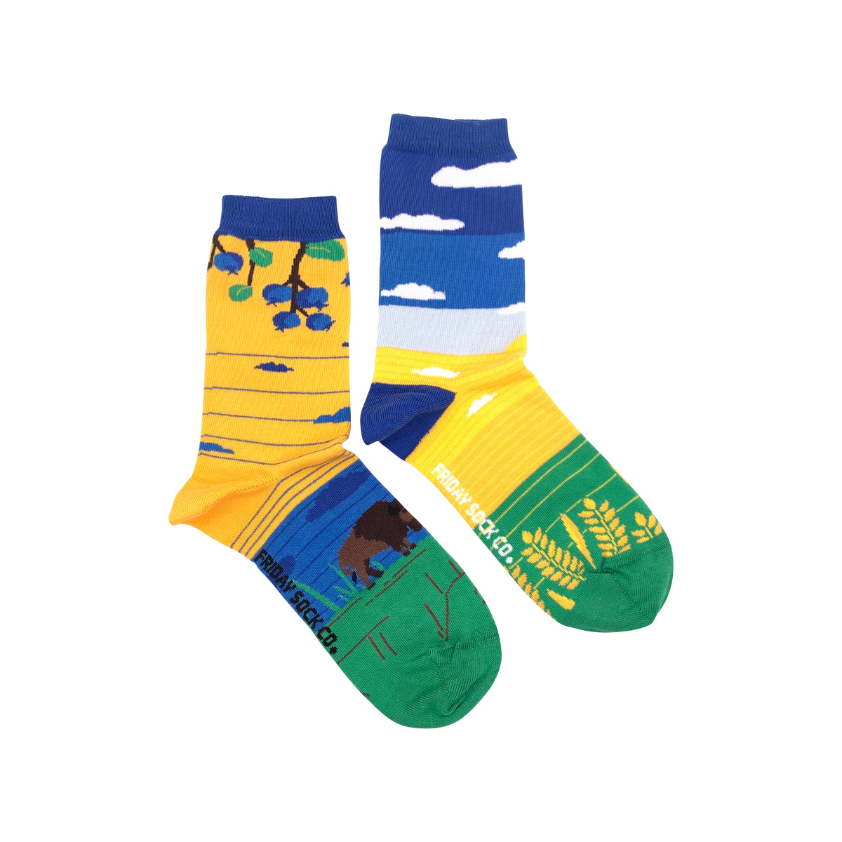 Women’s Prairies Landscape Socks | Friday Sock Co. Mismatched Socks
