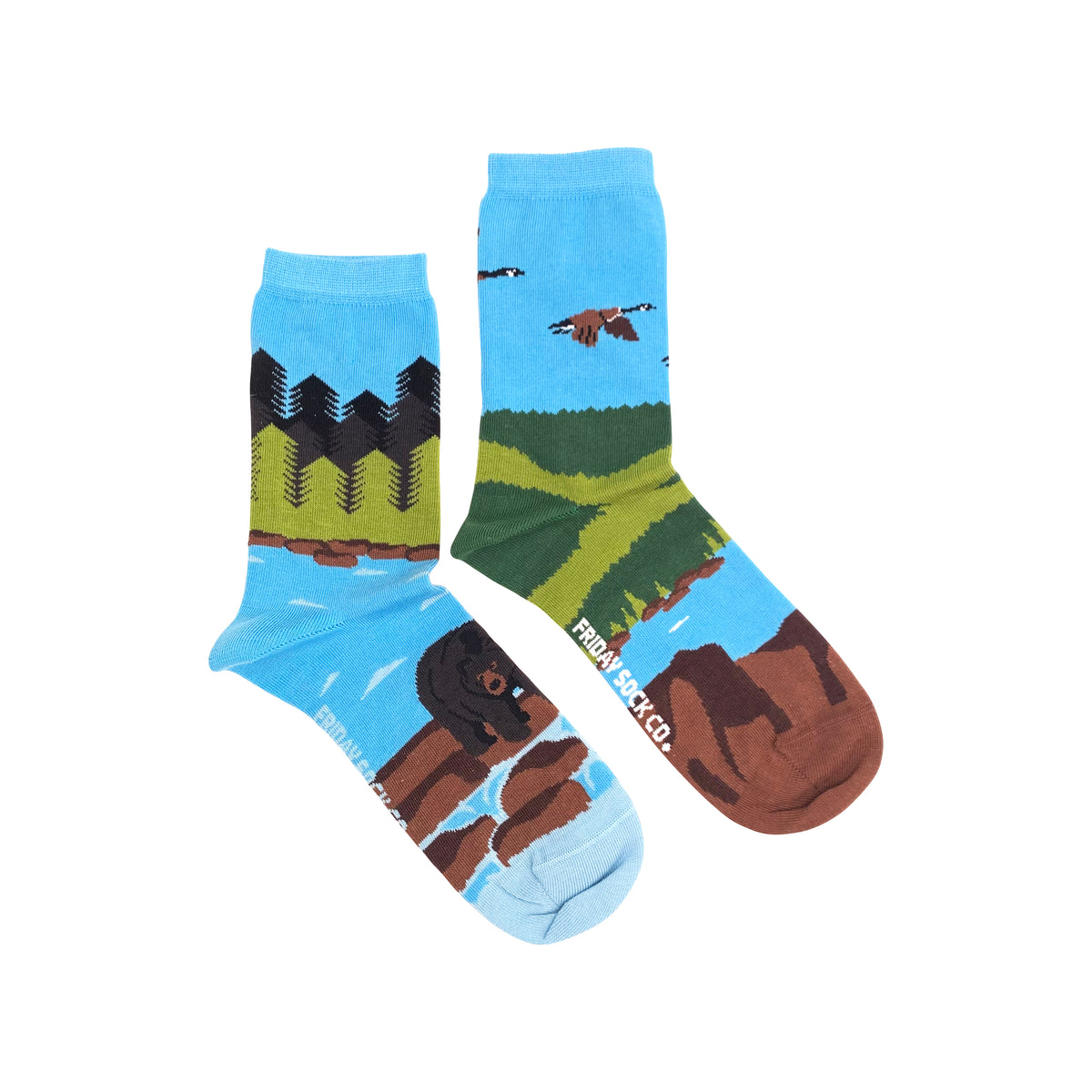 Women's Canadian Shield Landscape Socks | Friday Sock Co. Socks
